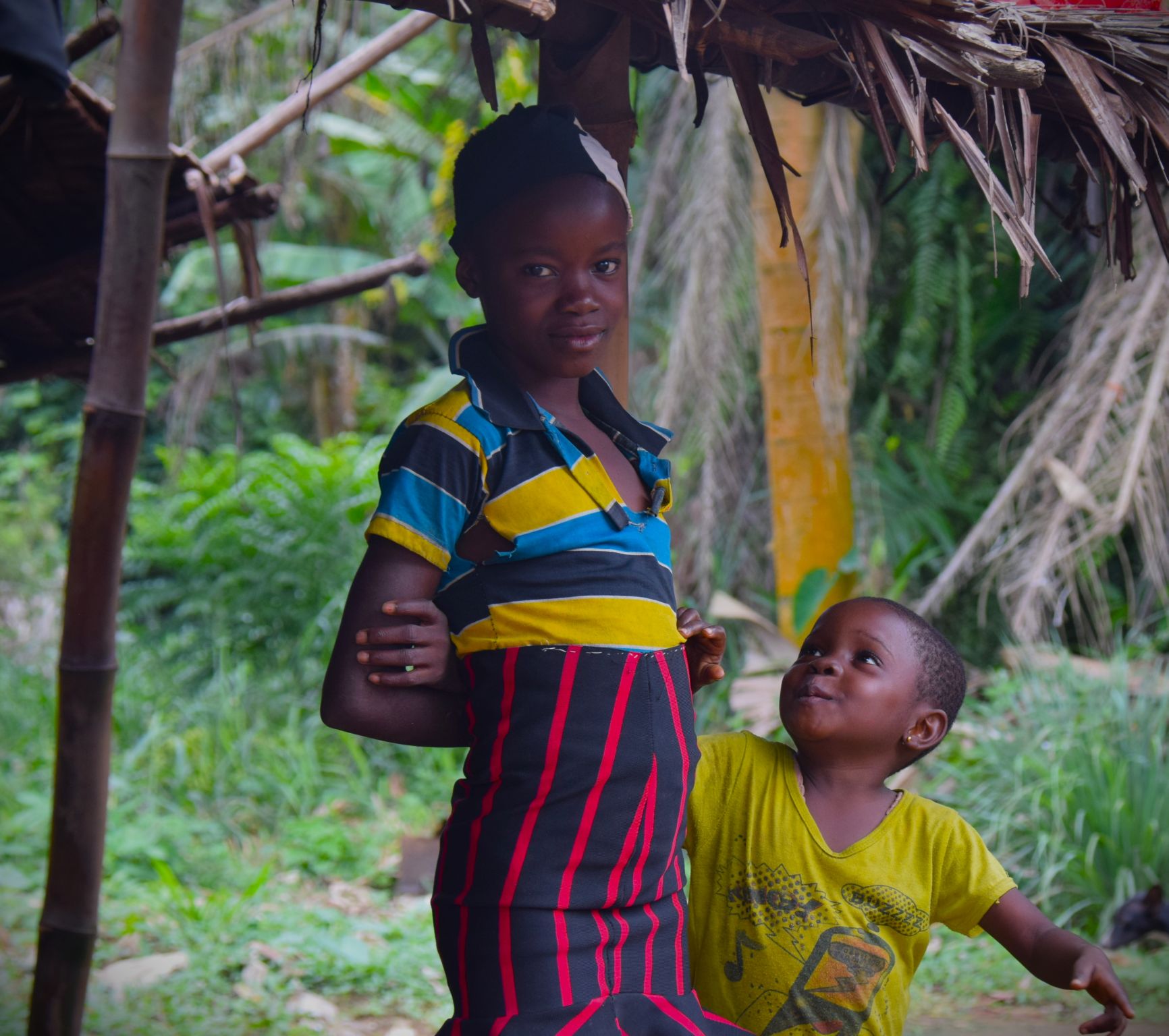 Cheap boat charter on the Congo River: Kinshasa - Mbandaka, bonobo ...